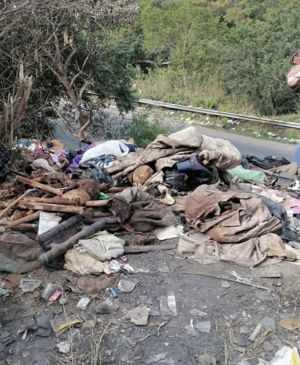 KZN police launch an investigation after ‘human’ bones found at ...