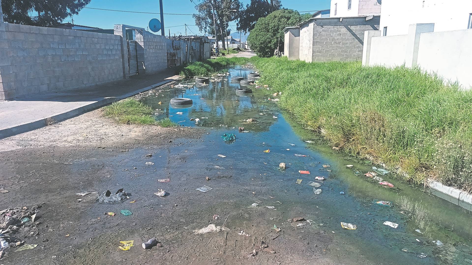 Residents stuck in sewage mess as ward councillor calls for patience ...