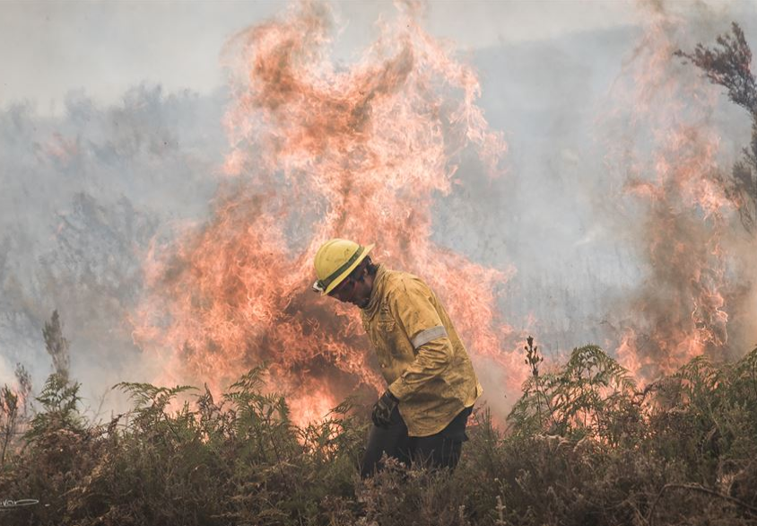 Bredasdorp wildfire prompts evacuation | Daily Sun