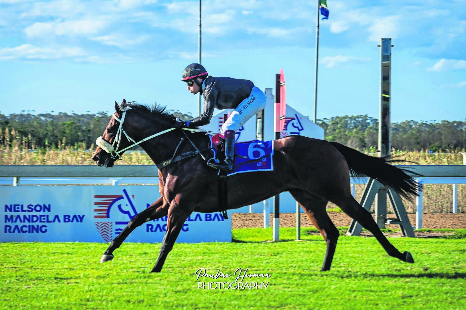 IN THE SADDLE | Vision of Wonder, champ in the making | News24