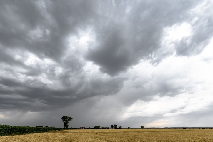 Your weather: Severe thunderstorms for Free State, Northern and Eastern ...