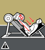 Legs - Leg press machine calf raises | News24