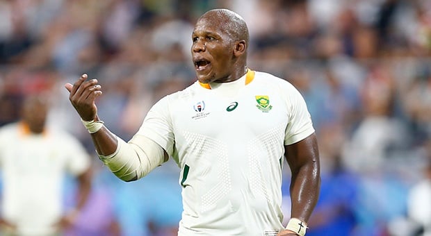 Bongi's remarkable run to the Bok No 2 jersey | News24