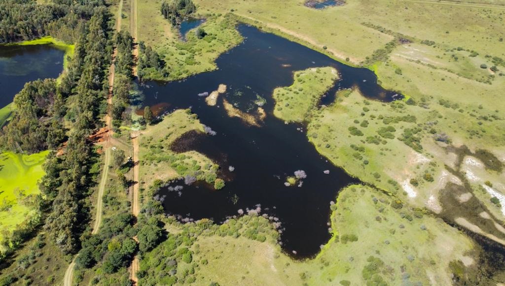 Boere moet tot vier jaar wag vir rioolvuil om te stop | Landbou