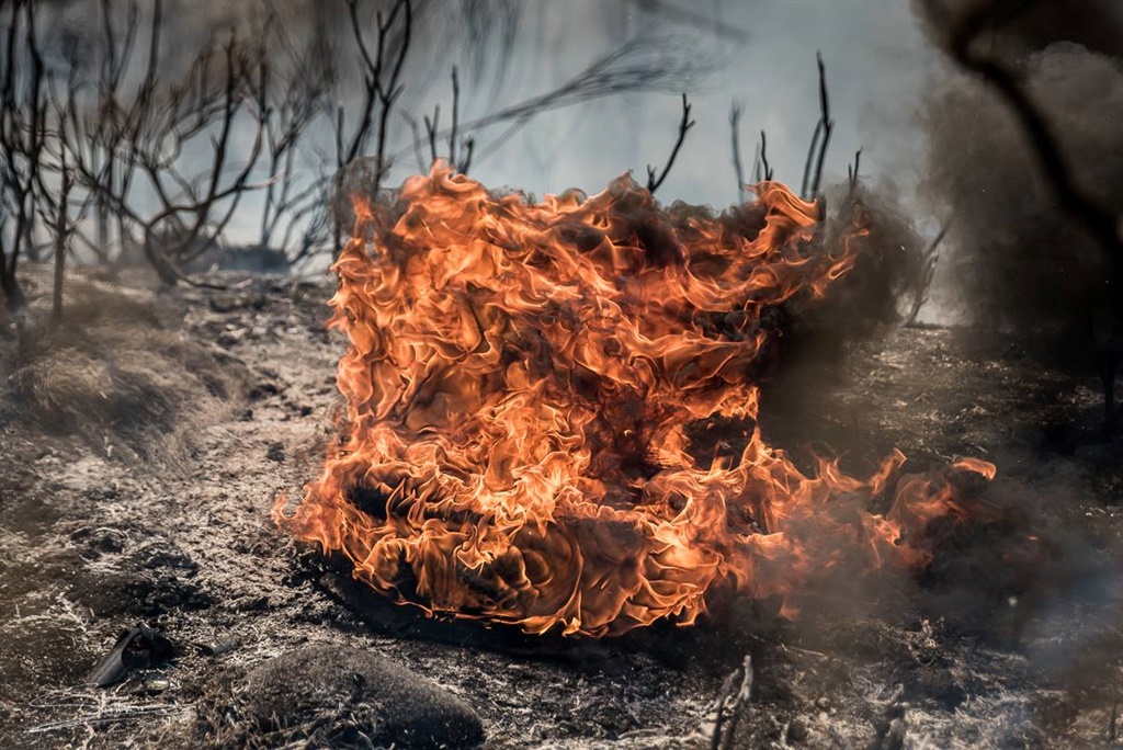 PICS: Fire charges through Overberg | News24