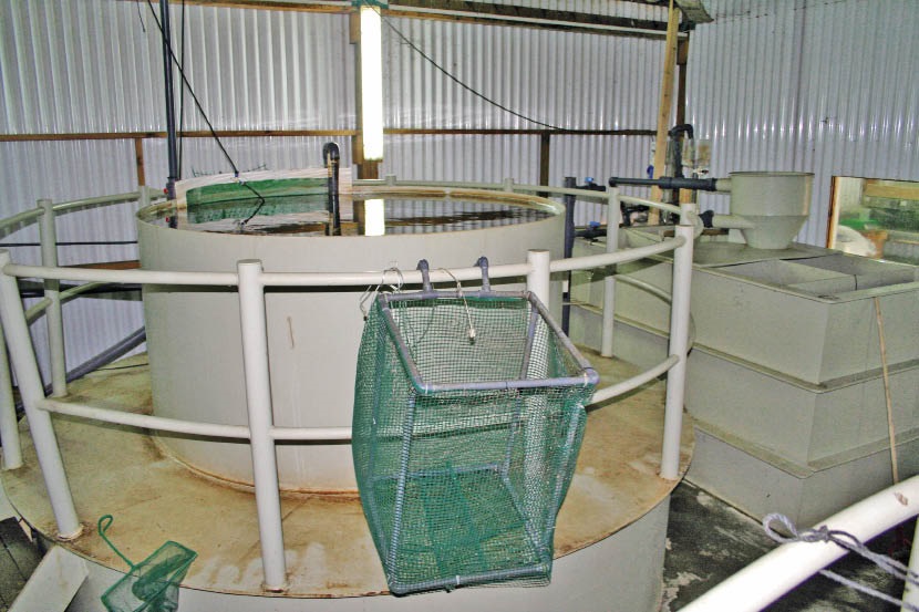 Israel se raad aan SA: Gebruik water twee, drie keer | Landbou