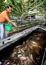 Something fishy about new fashion | News24