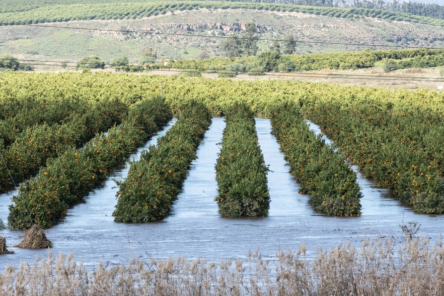 PICS | 'We've had to sleep in our trucks': Citrusdal cut off from the ...