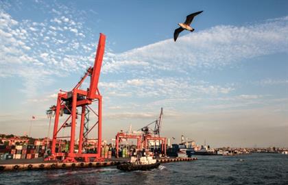 The Italian job: Transnet's R7bn Durban port project flounders amid ...