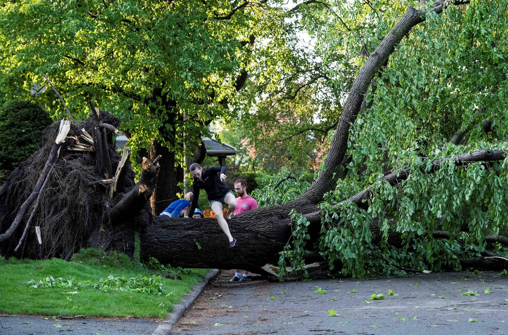 Die wind die waai die haan die kraai, en in Kanada is bome die naweek ...