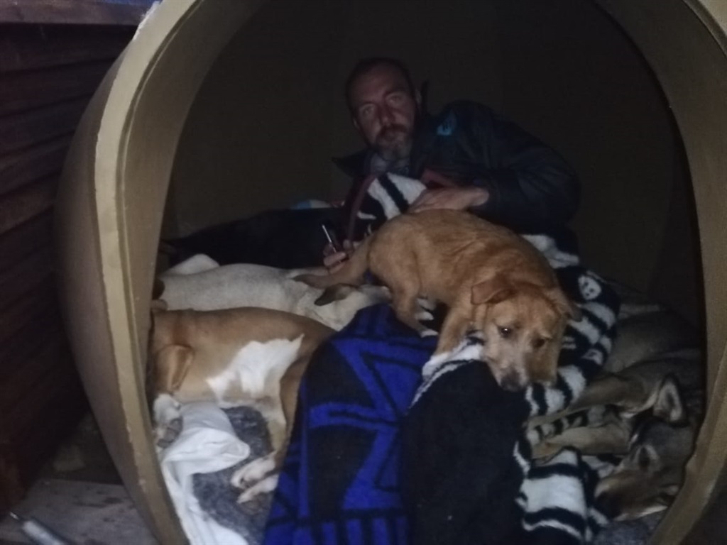 PICS | Raise the woof! Cape Town man chains himself to kennel to boost ...