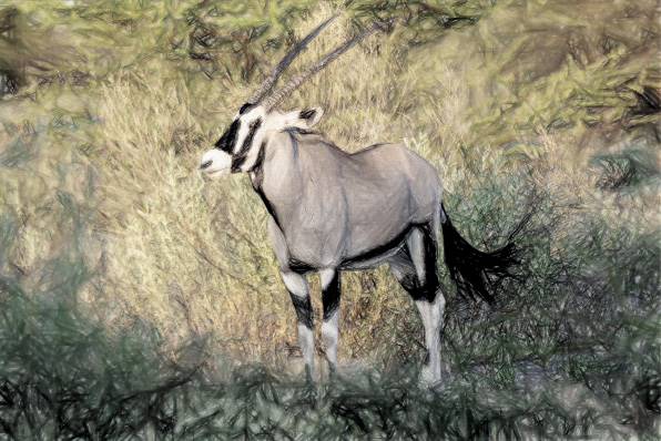 Isaac se groot oomblik | Landbou