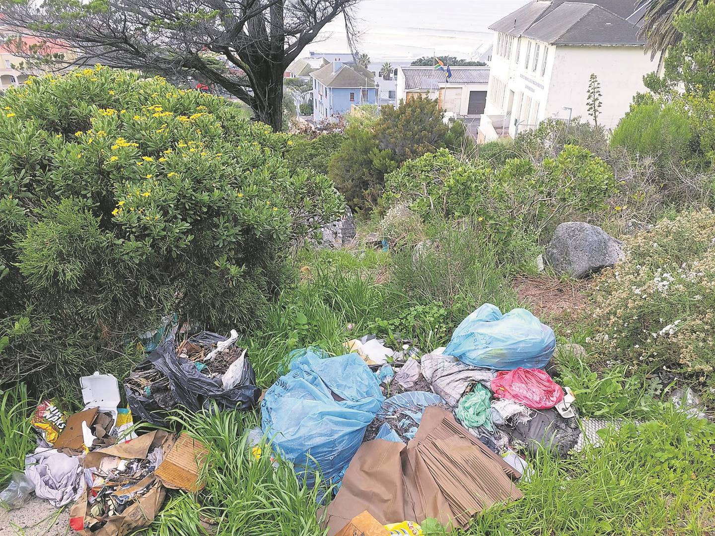 Homeless in Muizenberg roped in to ensure a 'clean environment' | News24