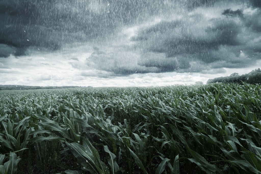 Your weather: Severe thunderstorms expected in Eastern Cape and KwaZulu ...