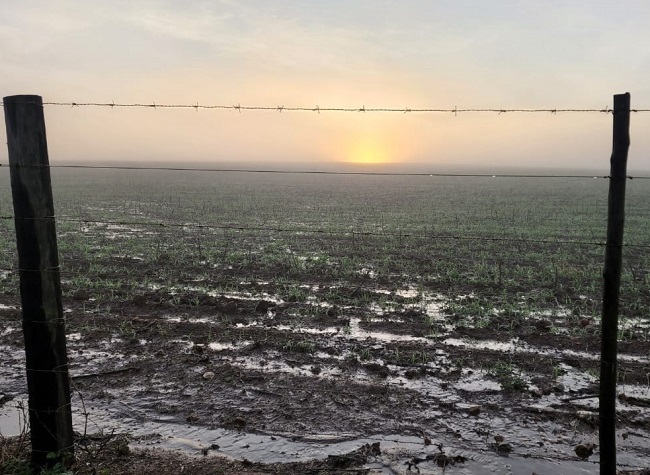 Winterreën: ‘Dis makliker om met waterstewels as plakkies te boer ...