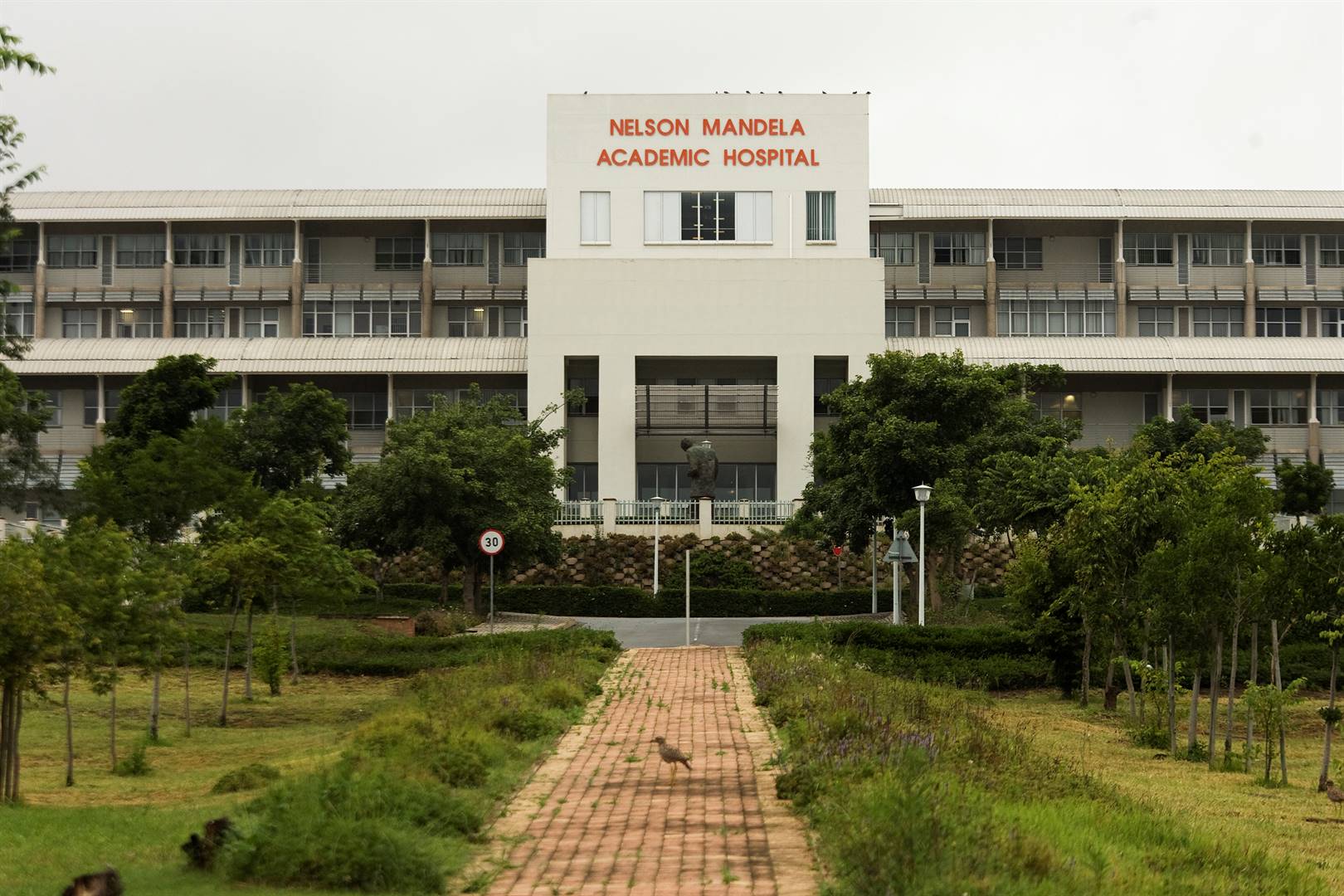 Health department terminates graduates’ community service contracts ...