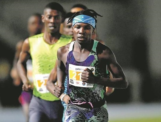Track is clearing up for King Ryan | News24