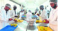 Genesis Hub visits Elsenburg food processing unit | Netwerk24