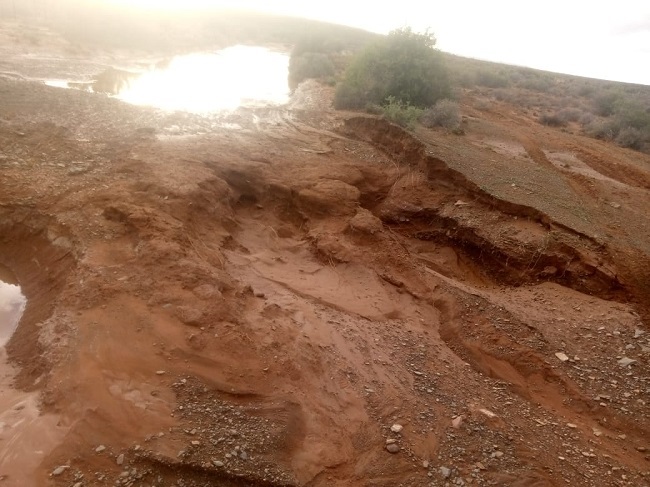 KYK! Karoo is nat, maar droogte bly wurg | Landbou