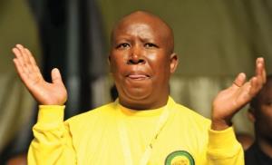 The spectacular unravelling of Julius Malema | News24