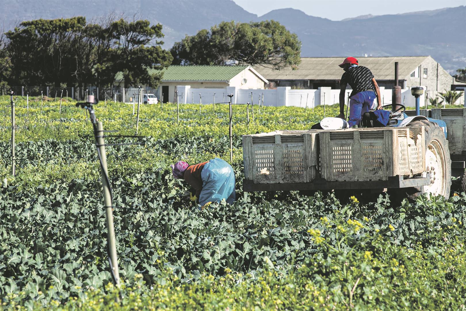 Uitdagings vir werk in landbou | Netwerk24