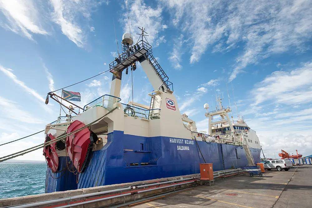 Sea Harvest vang minder vis, maar wins styg | Netwerk24