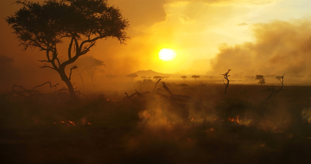 BBC Earth's Serengeti director on season 3's fight to survive: 'It's ...
