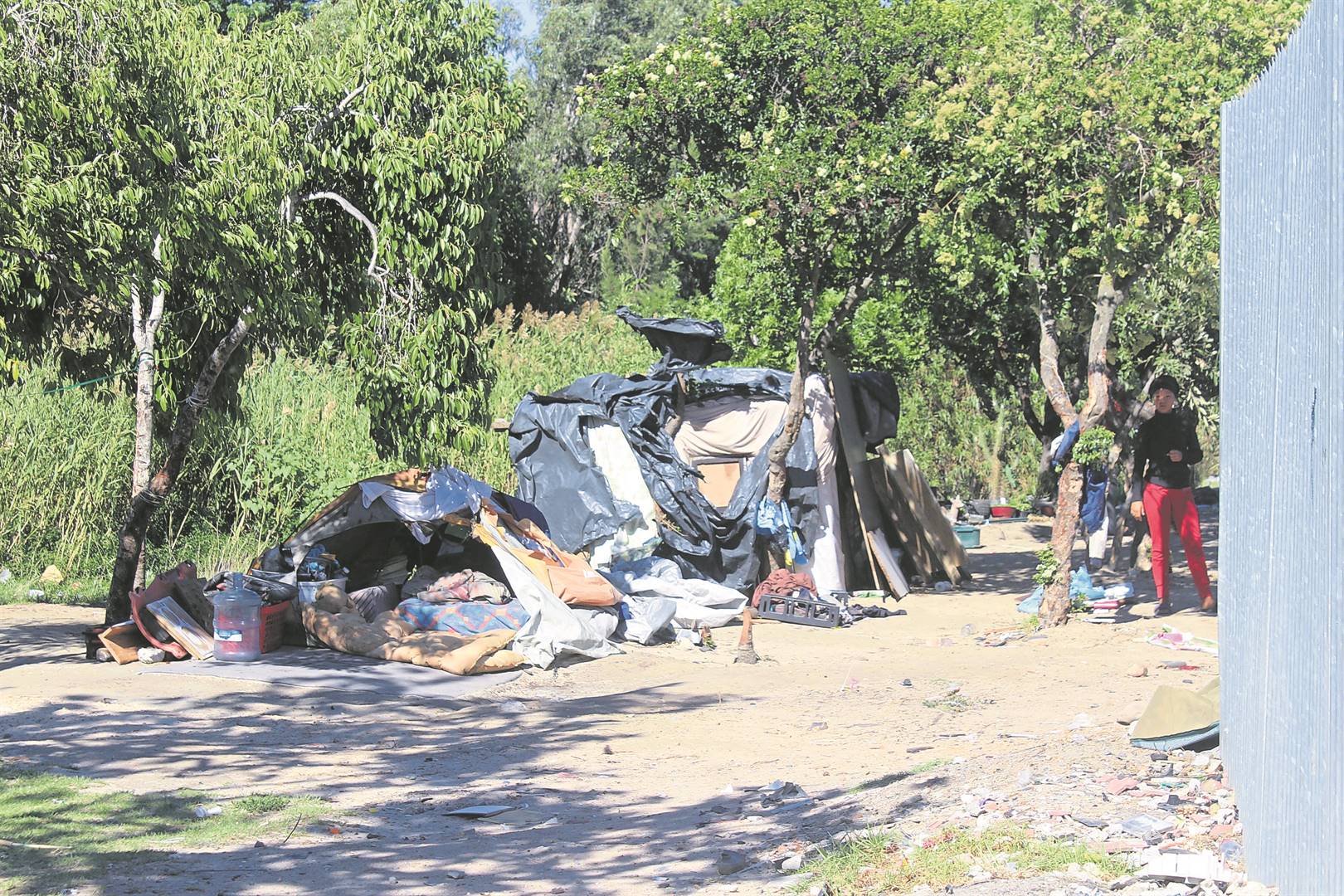Haweloosheid ruk handuit | Netwerk24