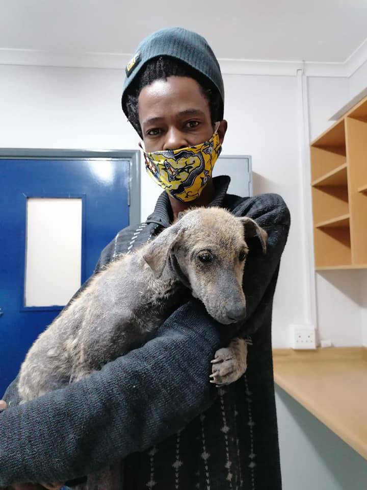 Man se geduld red hond met erge brandsiek op vullishoop | Netwerk24