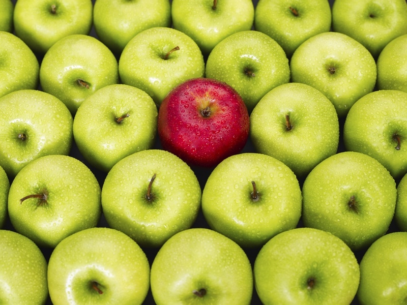 Een vrot appel kan almal besmet | Netwerk24