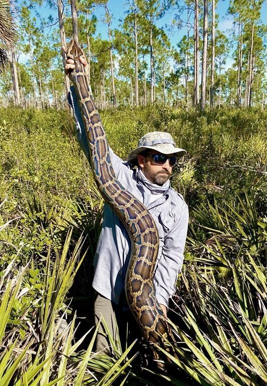 Natuurbewaarders in Florida, Amerika, het hulle koud geskrik toe hulle ...