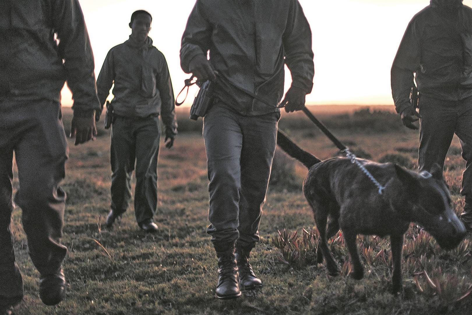Ranger courage honoured | News24