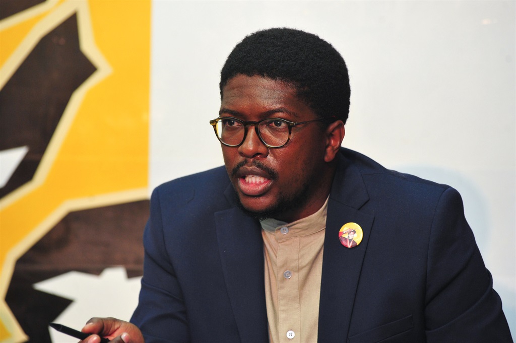 'Tambo must be held to the same standard': IFP's Hlengwa hits back at ...