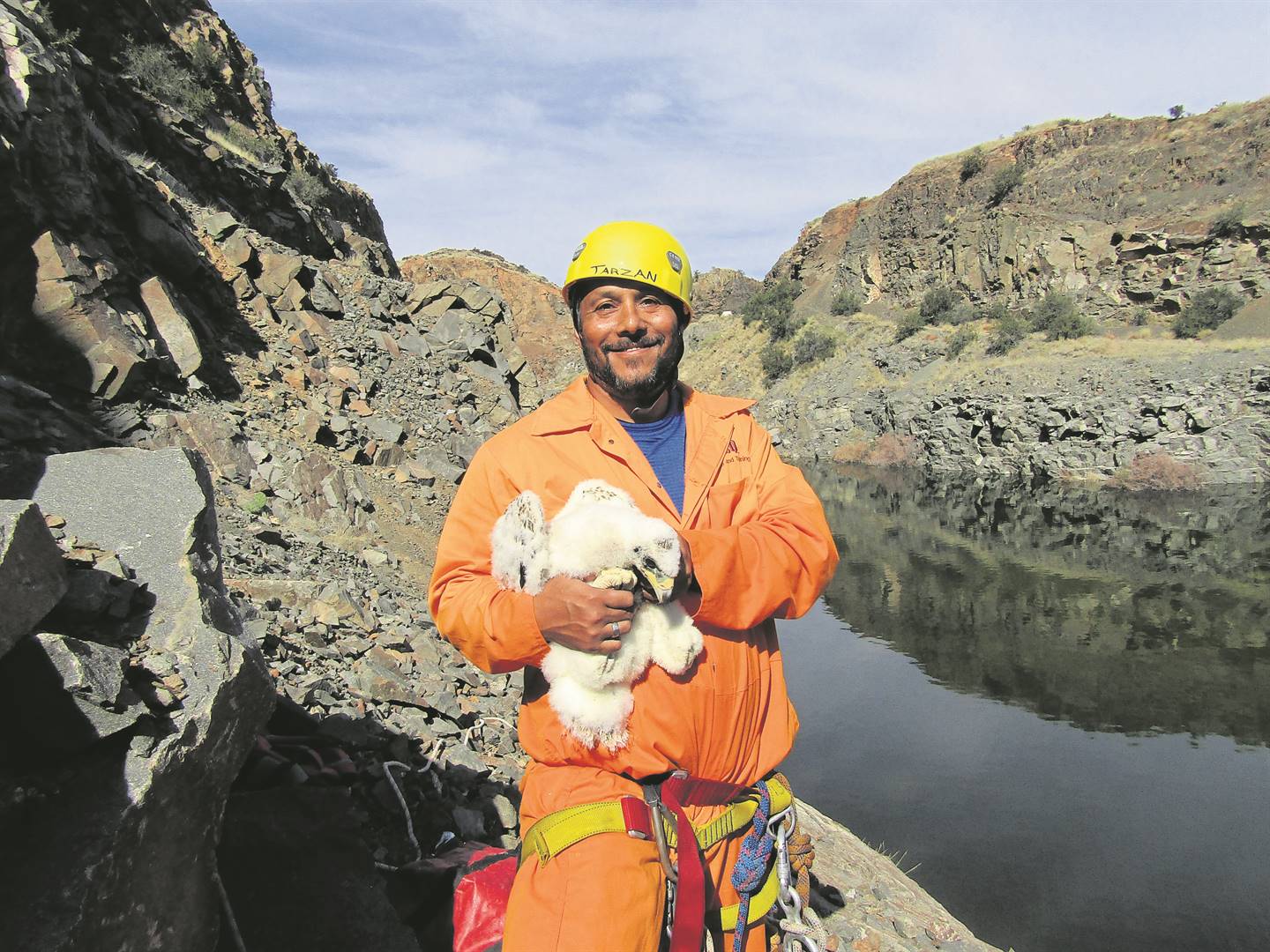 Abseilers lined up to help ring eagle | Netwerk24