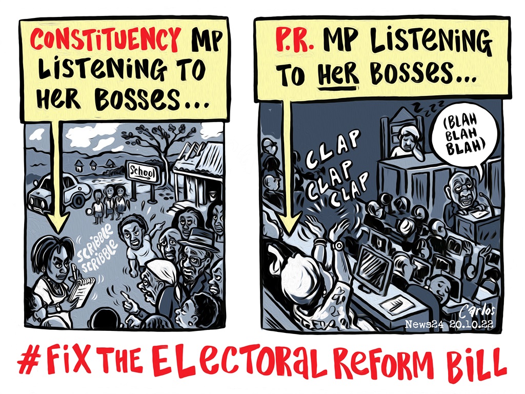 CARTOON BY CARLOS | Fix the electoral reform bill now | News24