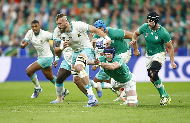 Trimmed Bomb Squad pack lifts onus on Bok skyscraper Snyman | News24