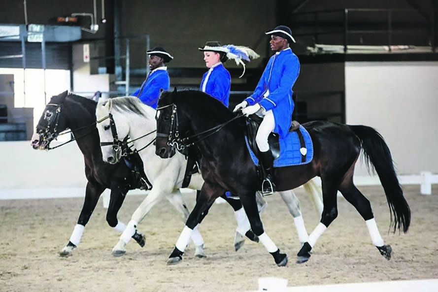 Nampo Kaap 2023 | Lipizzaner-perde kom Nampo Kaap toe! | Netwerk24