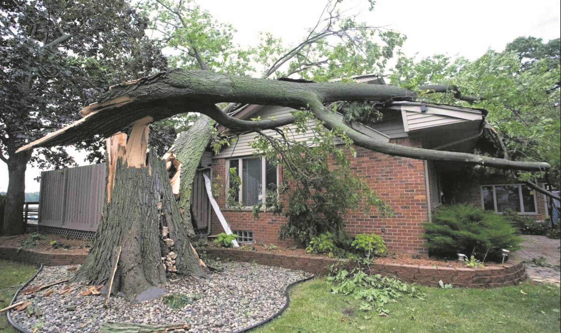Wind waai bome en voertuig om | Netwerk24