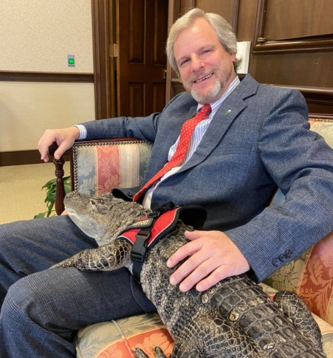 Oh snap! Meet Wally, the emotional support alligator who loves cheesy ...