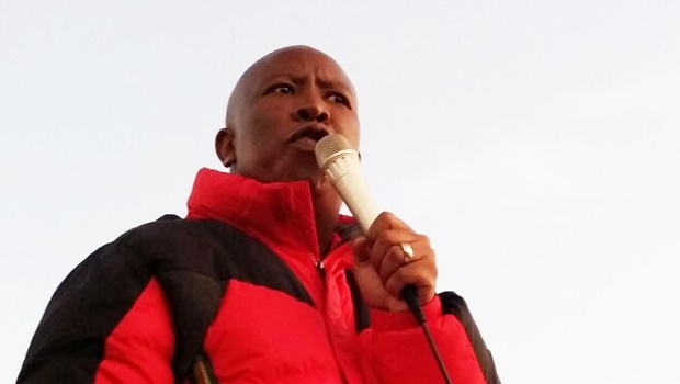 Malema promises freedom overnight in Ekurhuleni | News24