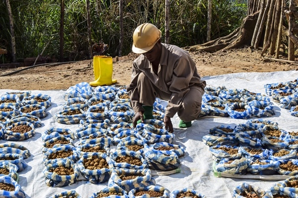 Alphamin's quest into the heart of the DRC for one of the world's ...