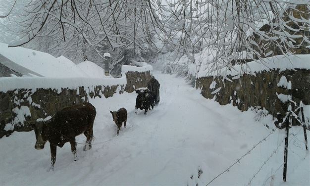 PICS: Mind-blowing Images of snow in Lesotho! | News24