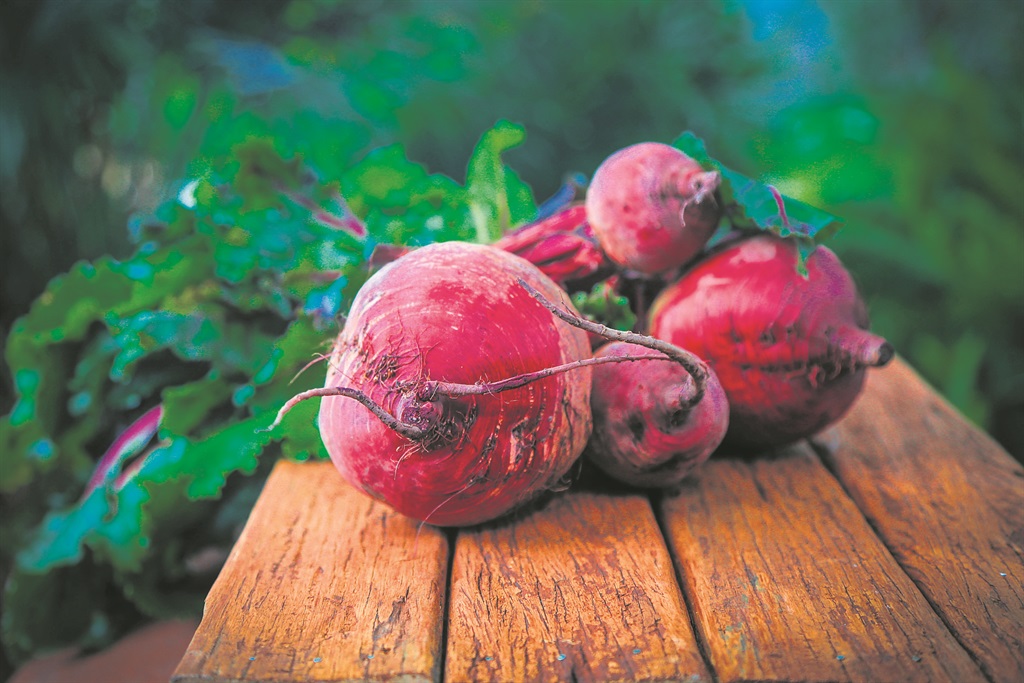 Soek inspirasie in bossie beet | Netwerk24