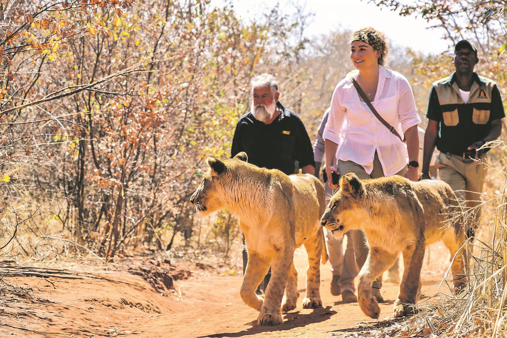 Victoria: Meer as ’n waterval | Landbou