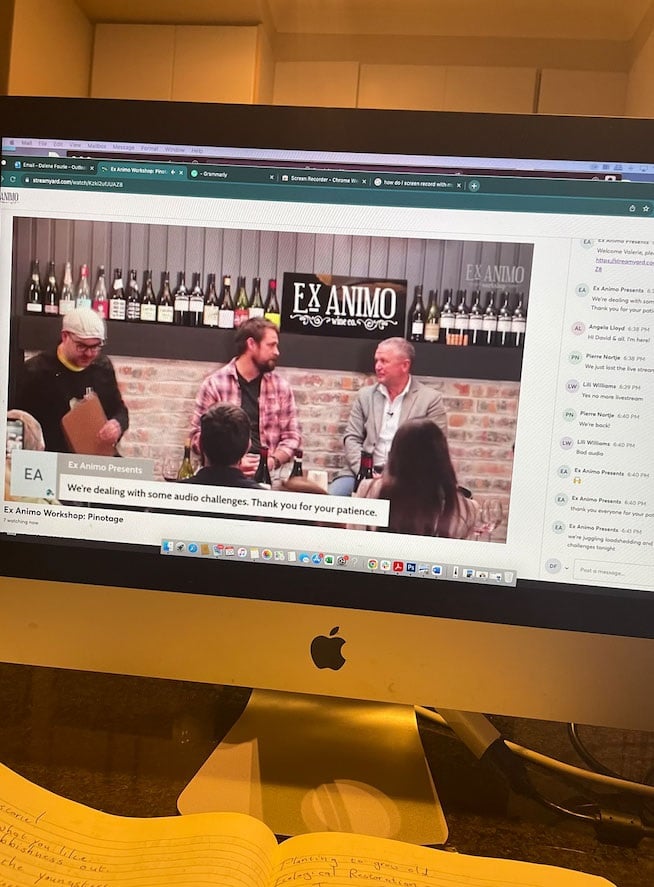 RATINGS | A new and old wave Pinotage line-up | News24