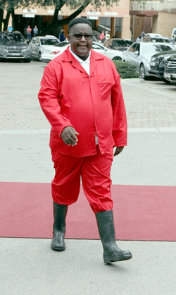 'EFF baas het my boobs expose' beweer partylid | Son