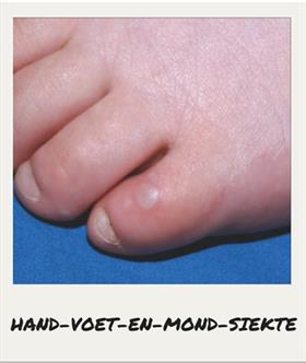 Herken die uitslag