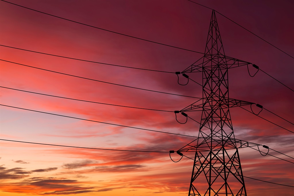 Ralph Mathekga | Eskom is the grinch that stole New Year | News24