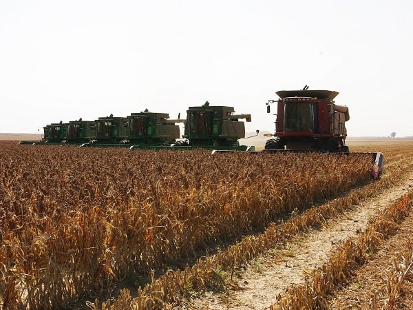 Kommersiële boerdery nie ál oplossing vir grondhervorming | Landbou