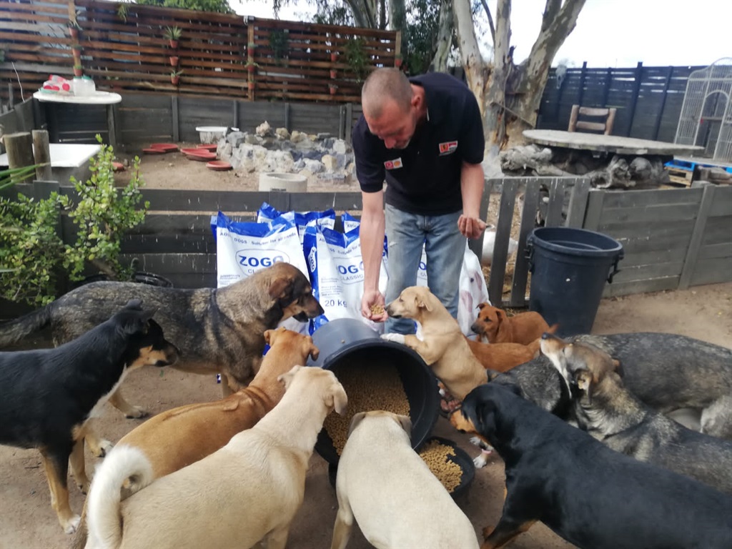 PICS | Raise the woof! Cape Town man chains himself to kennel to boost ...